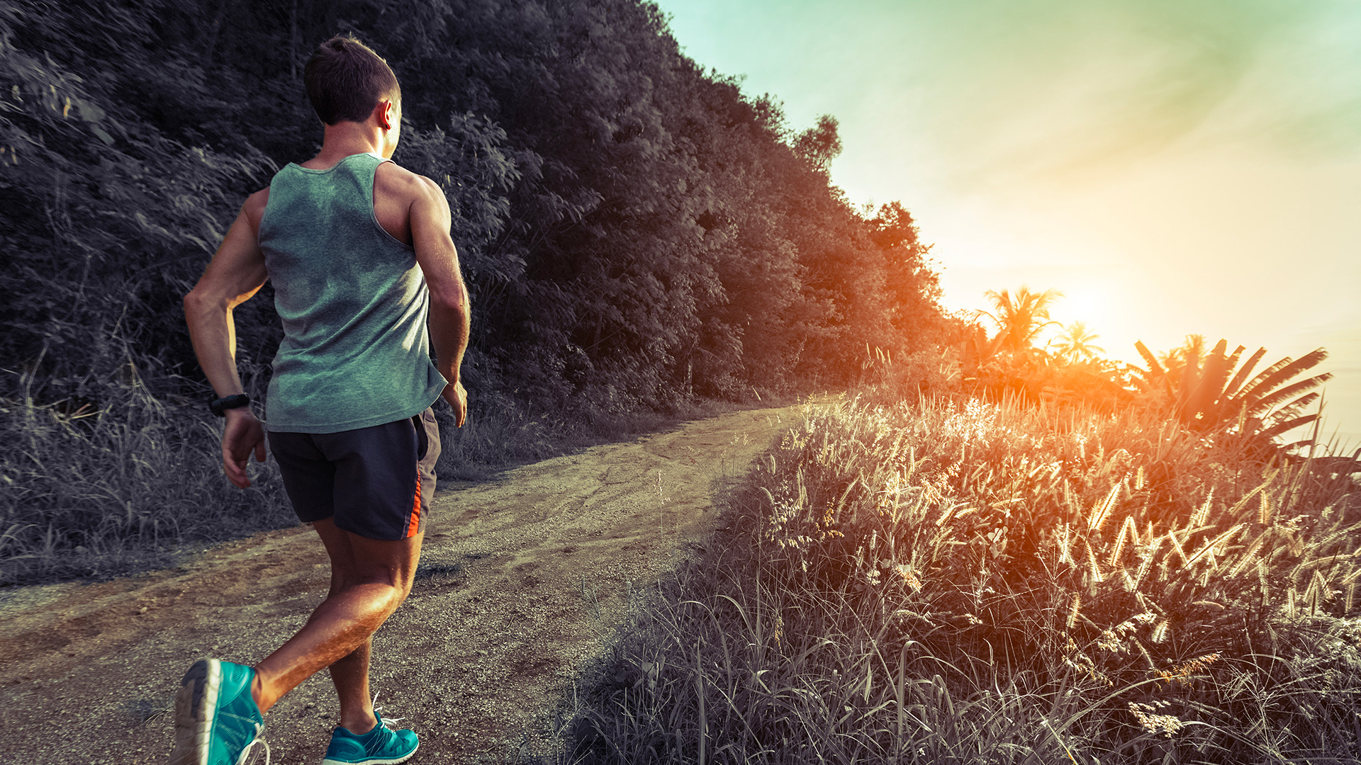 Uitdroging - OVERSTIM.s